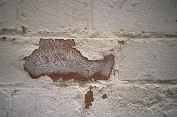 Efflorescence - Paint Check Plus