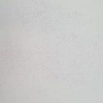 Cissing - Paint Check Plus