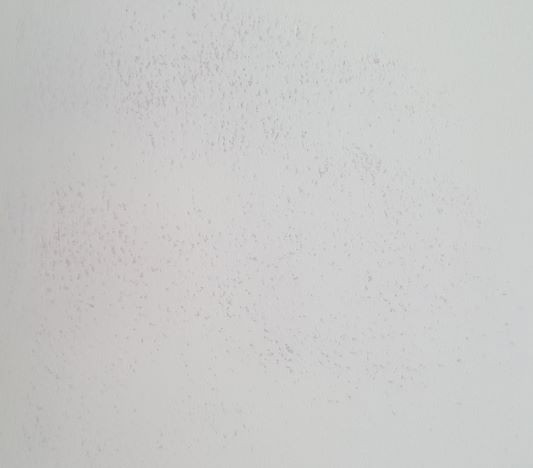 Cissing - Paint Check Plus