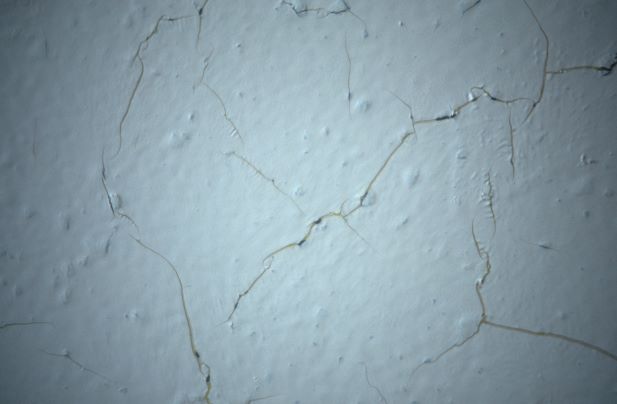 Mud Cracking - Paint Check Plus